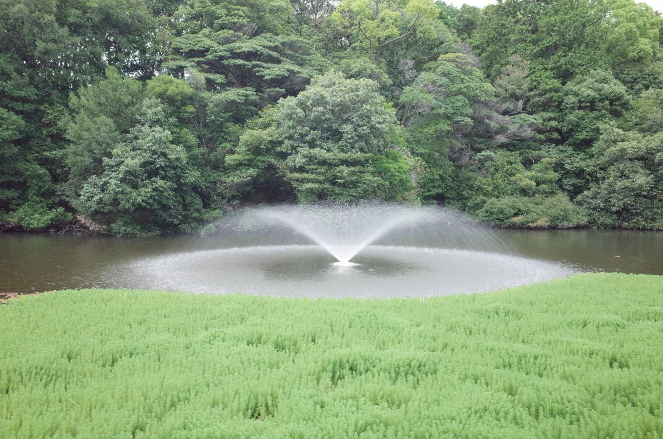 堺市鈴 の 宮公園 | 鈴の宮公園 概要 – VISHUJI